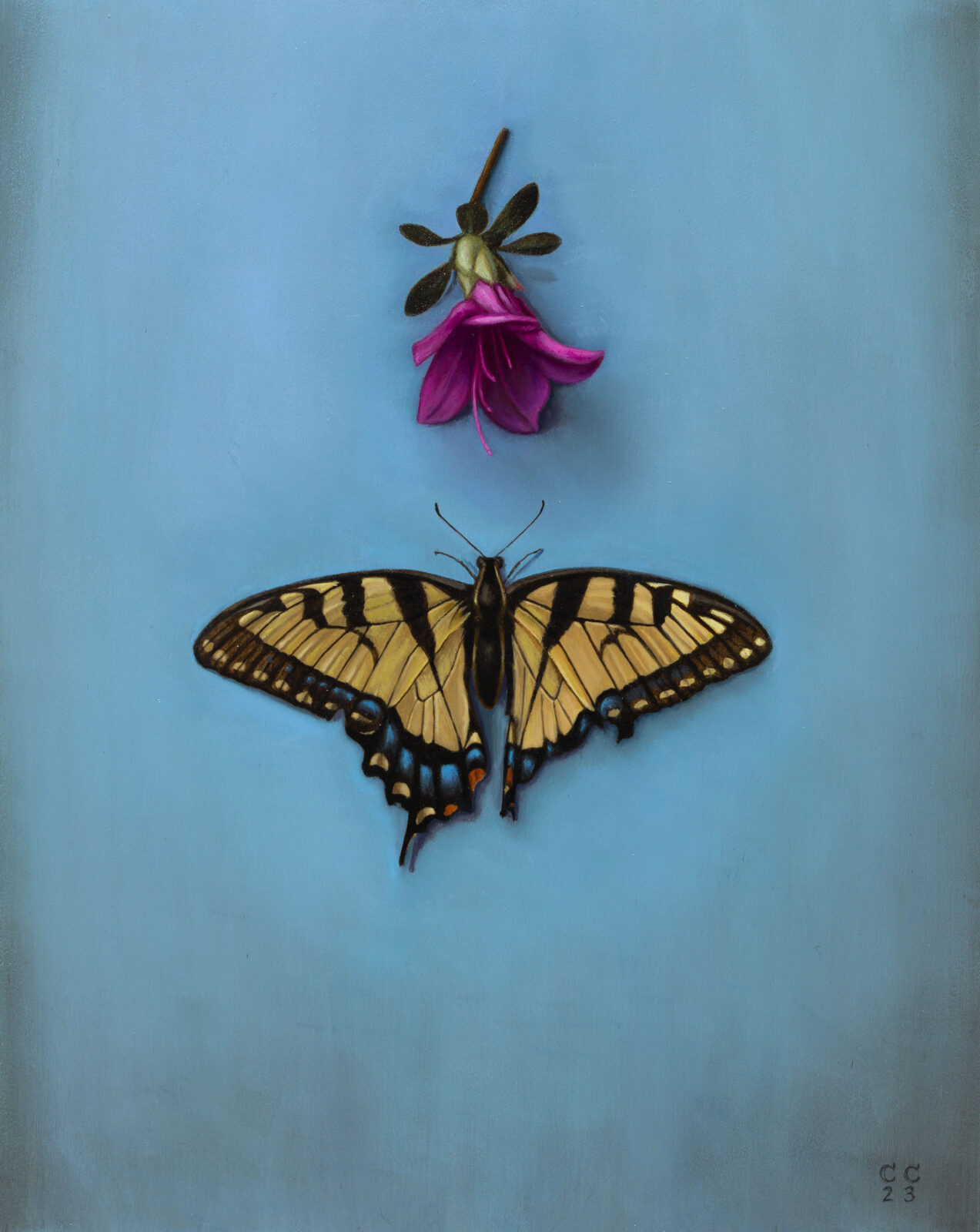 Art Now Artist Talk: Christopher Clamp. - Morris Museum of Art